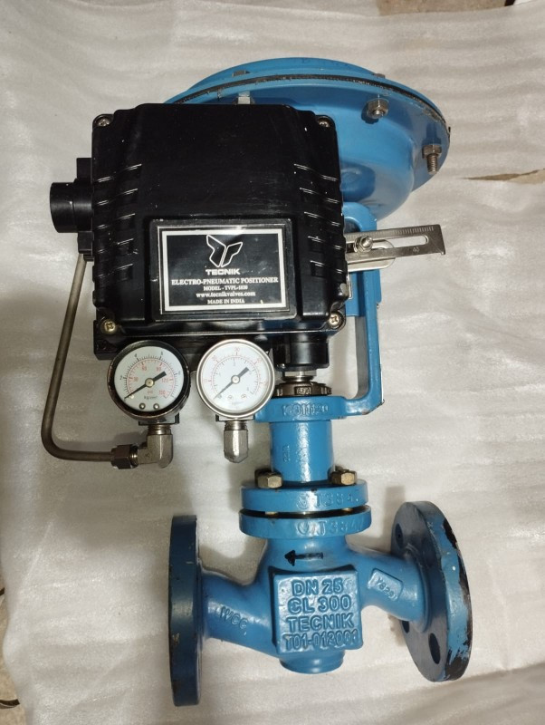 DN 25 CL300 TECNIK T10-012001 – High-Performance Industrial Valve